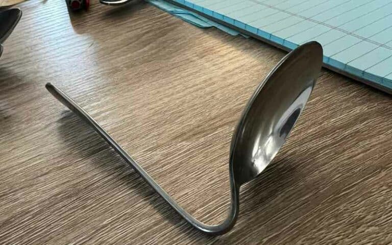 Spoon Bending - Lisa Campion